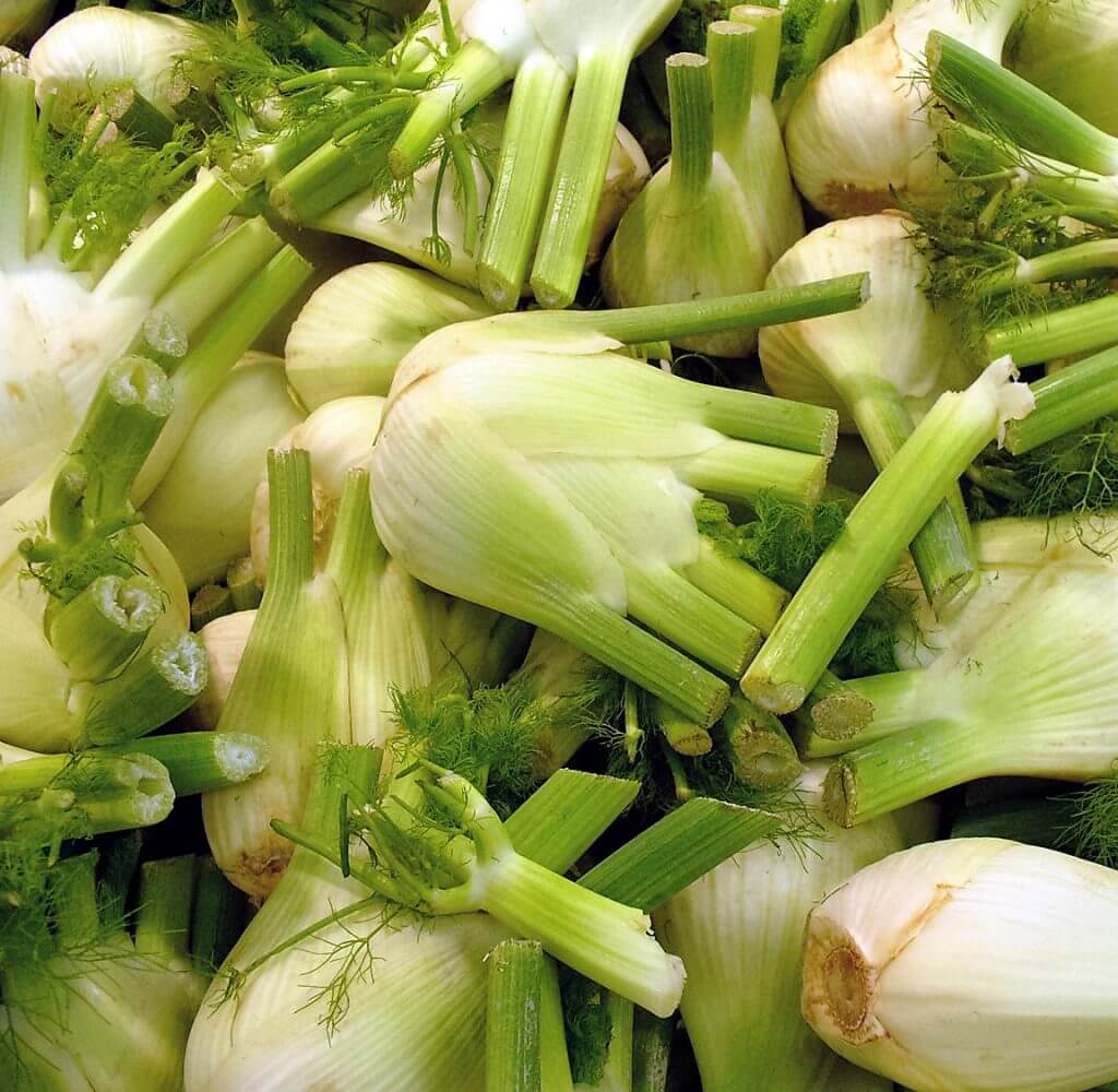 Hinojo estofado – FUNDACIÓN DIETA MEDITERRANEA