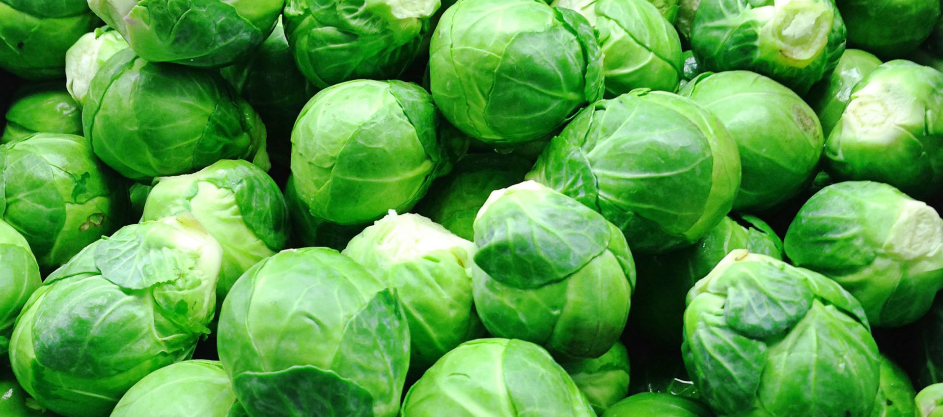 Coles de Bruselas en bechamel – FUNDACIÓN DIETA MEDITERRANEA