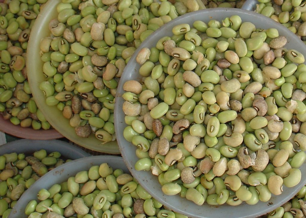 Habas a la menta – FUNDACIÓN DIETA MEDITERRANEA